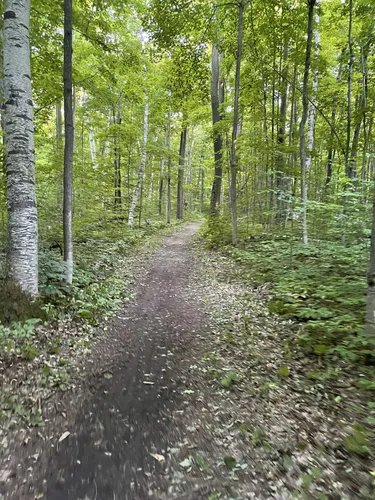 10 Best Trails and Hikes in Tiny | AllTrails