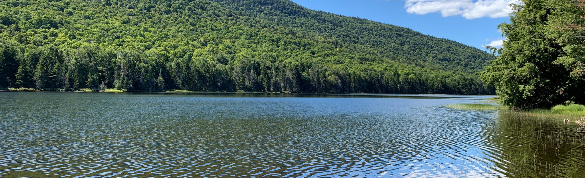 Kings Flow to Puffer Pond Trail, New York - 52 Reviews, Map | AllTrails