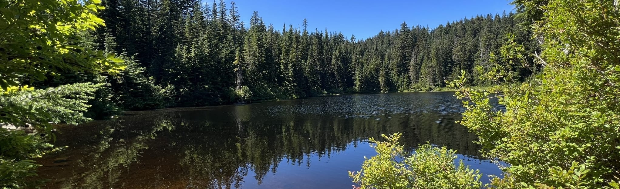 Four Lakes Loop, British Columbia, Canada - 48 Reviews, Map | AllTrails