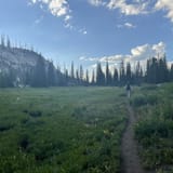 Box Lake Trail, Idaho - 241 Reviews, Map | AllTrails
