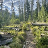 Box Lake Trail, Idaho - 241 Reviews, Map | AllTrails