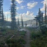 Box Lake Trail, Idaho - 241 Reviews, Map | AllTrails