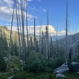 Box Lake Trail, Idaho - 241 Reviews, Map | AllTrails