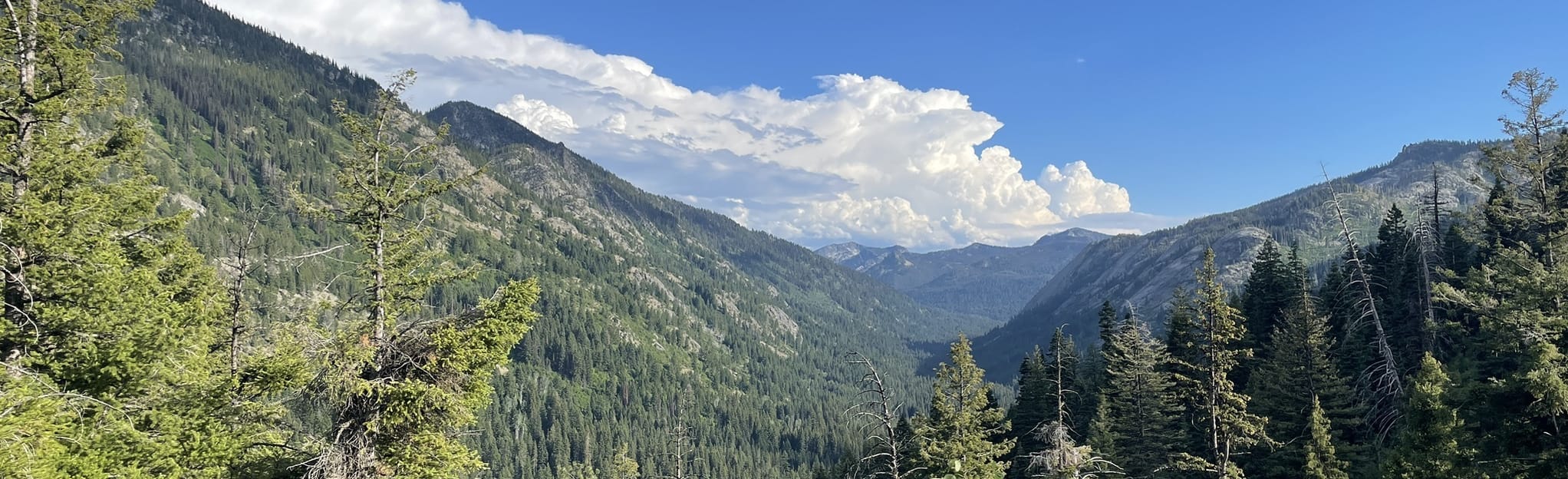 Box Lake Trail, Idaho - 226 Reviews, Map | AllTrails