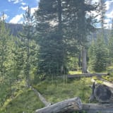 Box Lake Trail, Idaho - 241 Reviews, Map | AllTrails