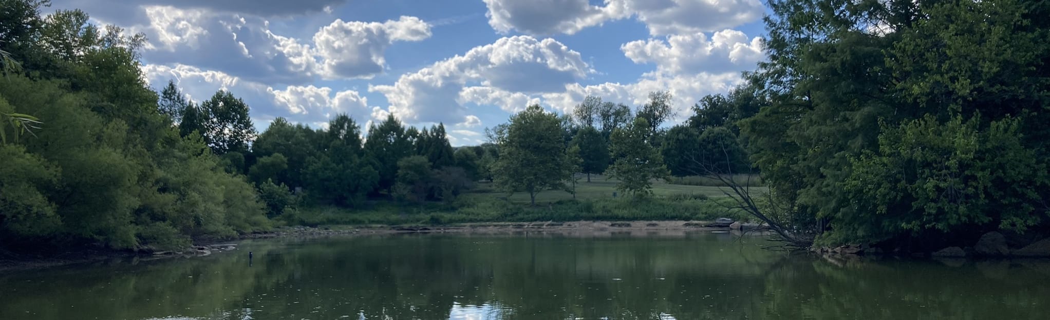 Wilson Park Trail, Pennsylvania - 310 Reviews, Map | AllTrails