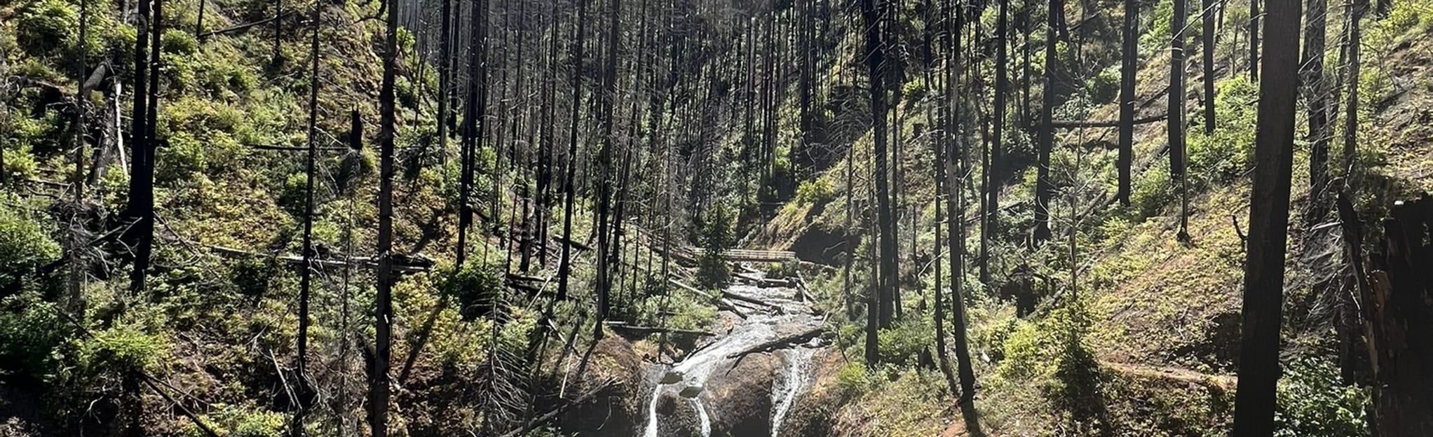 Oneonta Trail, Bell Creek, and Horsetail Creek Loop, Oregon - 10 ...