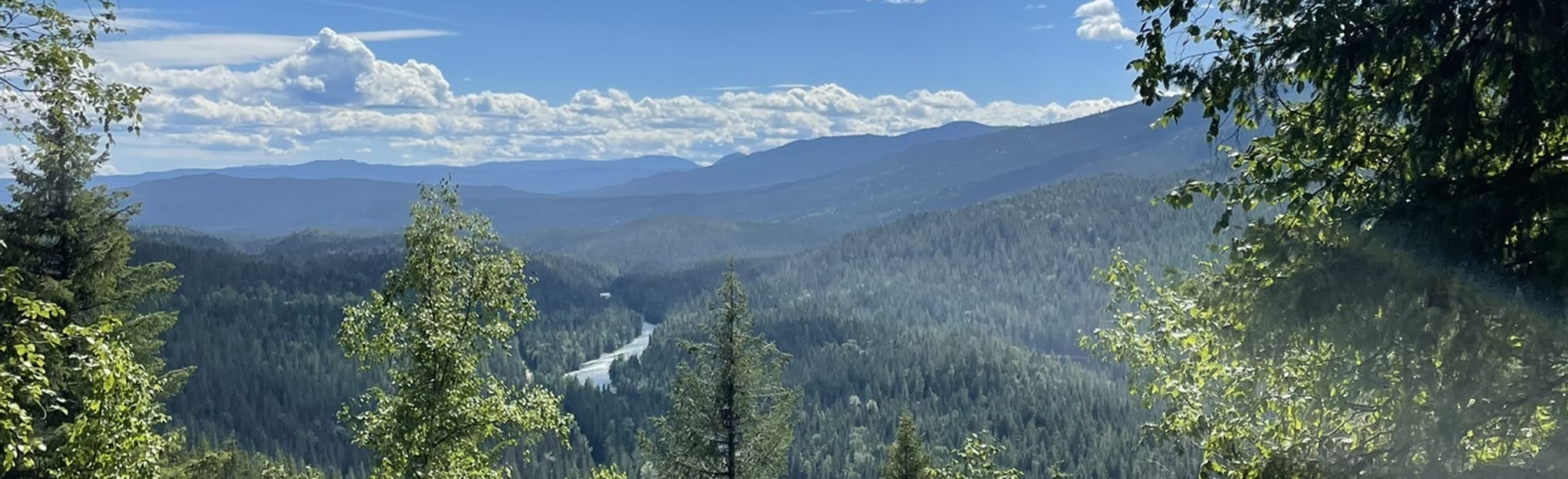 Osprey Lookout: 45 Reviews, Map - British Columbia, Canada | AllTrails