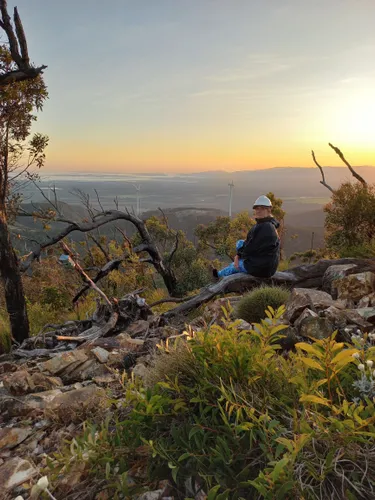 Best Hikes and Trails in Tolga | AllTrails