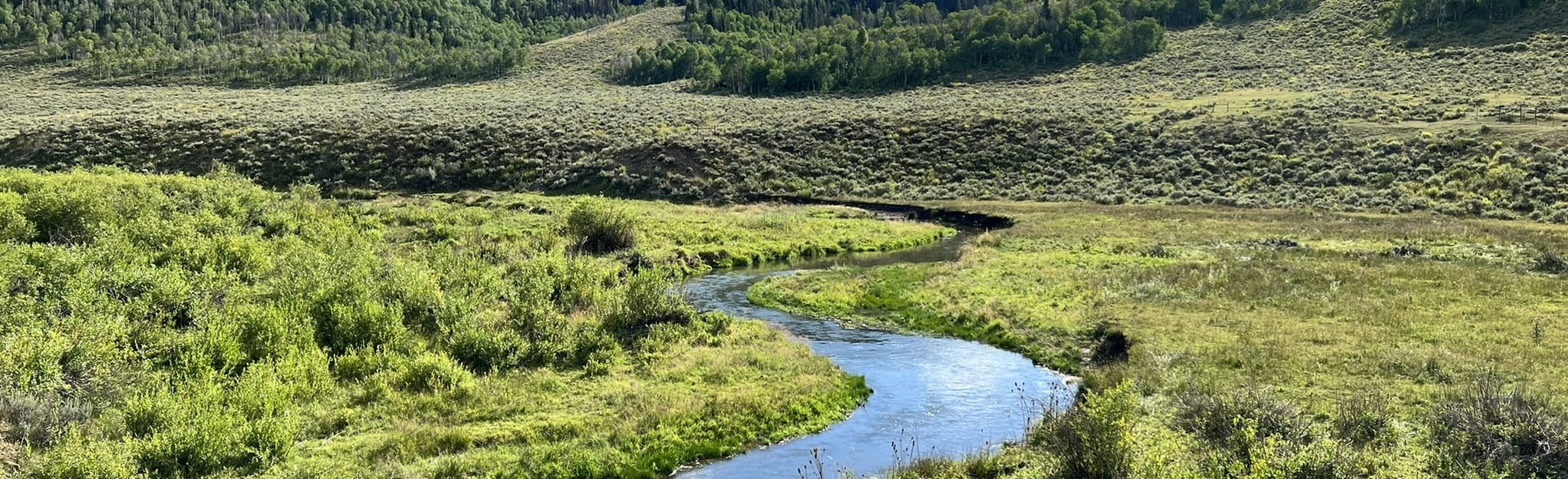 Jeremy Ranch Road, Utah - 121 Reviews, Map | AllTrails