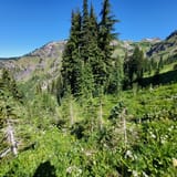 Hawkeye Point via Goat Ridge Trail #95, Washington - 313 Reviews, Map ...