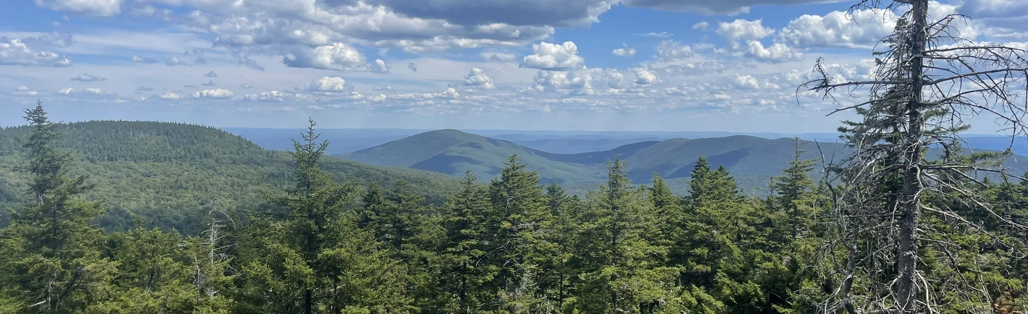 Rocky and Lone Mountain Loop, New York - 276 Reviews, Map | AllTrails