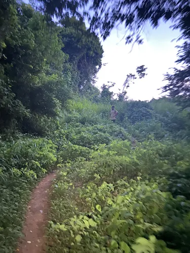 Best Hikes and Trails in El Veladero National Park | AllTrails