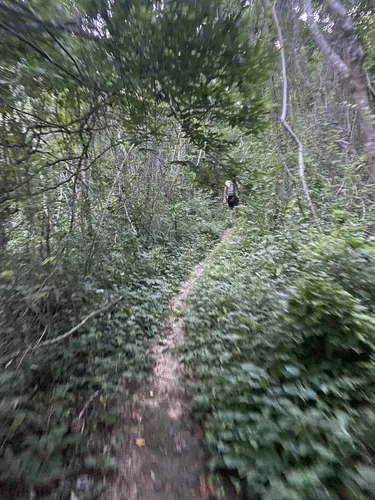 Best Hikes and Trails in El Veladero National Park | AllTrails