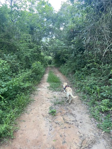 Best Hikes and Trails in El Veladero National Park | AllTrails