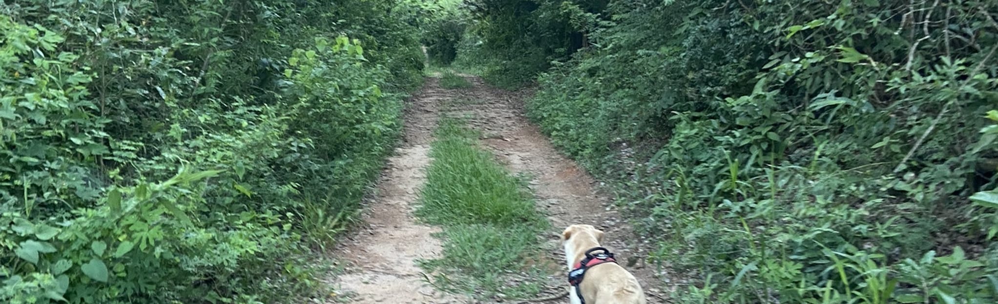 El Veladero Sur, Guerrero, Mexico - 2 Reviews, Map | AllTrails