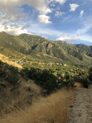 10 Best Hikes and Trails in Dimple Dell Regional Park | AllTrails