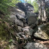 Manning Trail, New Hampshire - 162 Reviews, Map | AllTrails