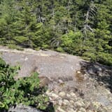 Manning Trail, New Hampshire - 162 Reviews, Map | AllTrails