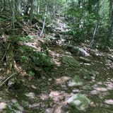 Manning Trail, New Hampshire - 162 Reviews, Map | AllTrails