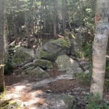 Manning Trail, New Hampshire - 162 Reviews, Map | AllTrails