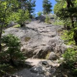 Manning Trail, New Hampshire - 162 Reviews, Map | AllTrails
