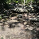 Manning Trail, New Hampshire - 162 Reviews, Map | AllTrails
