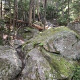 Manning Trail, New Hampshire - 162 Reviews, Map | AllTrails