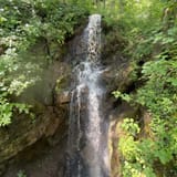 Foxfire Mountain Trail, Tennessee - 48 Reviews, Map | AllTrails