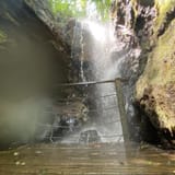 Foxfire Mountain Trail, Tennessee - 48 Reviews, Map | AllTrails