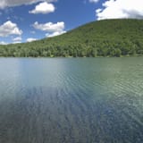 Elkhorn Lake, Virginia - 24 Reviews, Map | AllTrails