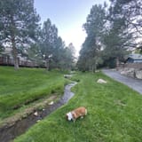 Caughlin Ranch Trails, Nevada - 715 Reviews, Map | AllTrails