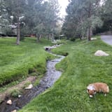 Caughlin Ranch Trails, Nevada - 715 Reviews, Map | AllTrails