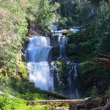 Linton Lake Trail, Oregon - 224 Reviews, Map | AllTrails