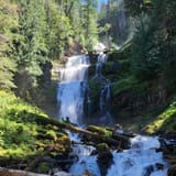 Linton Lake Trail, Oregon - 224 Reviews, Map | AllTrails