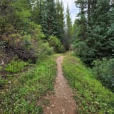 Keystone Gulch, Colorado - 232 Reviews, Map | AllTrails