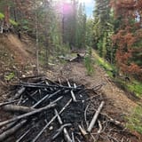 Keystone Gulch, Colorado - 232 Reviews, Map | AllTrails