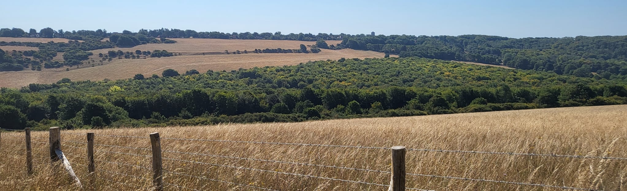 Friston Forest Short Circular, 33 Fotos - East Sussex, England | AllTrails
