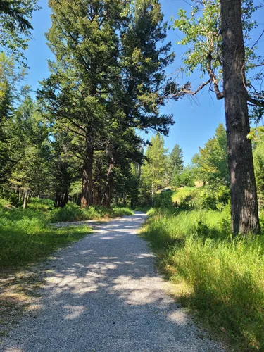 10 Best Trails and Hikes in Crowsnest Pass | AllTrails