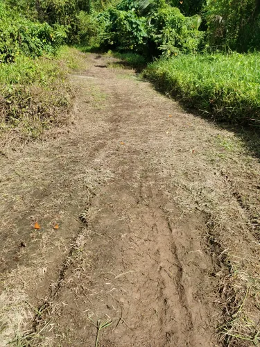 Best Hikes and Trails in Pusat Taman Laut Tioman | AllTrails