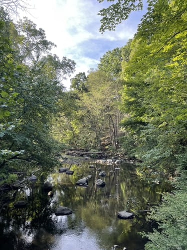 Best Hikes and Trails in Mianus River State Park | AllTrails