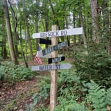 Mahoning Shadow Trail, Pennsylvania - 252 Reviews, Map | AllTrails