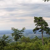 Hogback Mountain via Charcoal Trail, Pennsylvania - 37 Reviews, Map ...