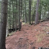 Bearskin State Trail, Wisconsin - 273 Reviews, Map | AllTrails