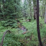 Little Traverse Lake, Michigan - 49 Reviews, Map | AllTrails