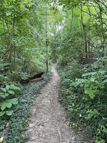 Best Hikes and Trails in Edwardsville | AllTrails