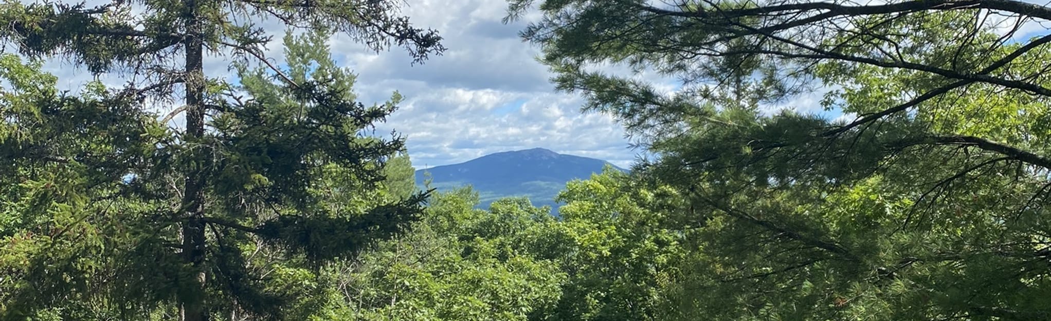 Little Monadnock Mountain Trail, New Hampshire - 305 Reviews, Map ...