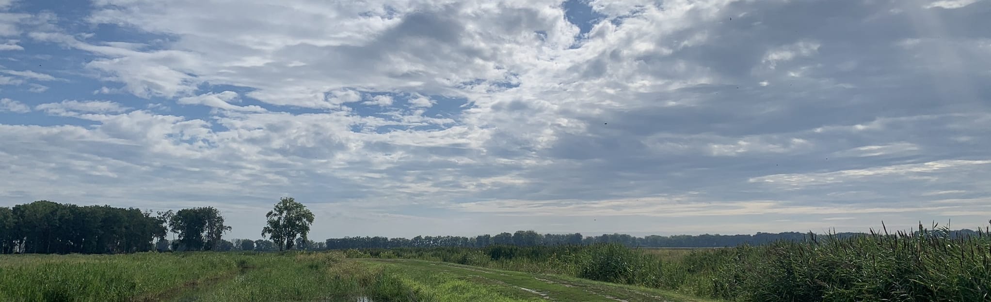 AllTrails | Erie Marsh Preserve Main Trail: 26 Reviews, Map - Michigan