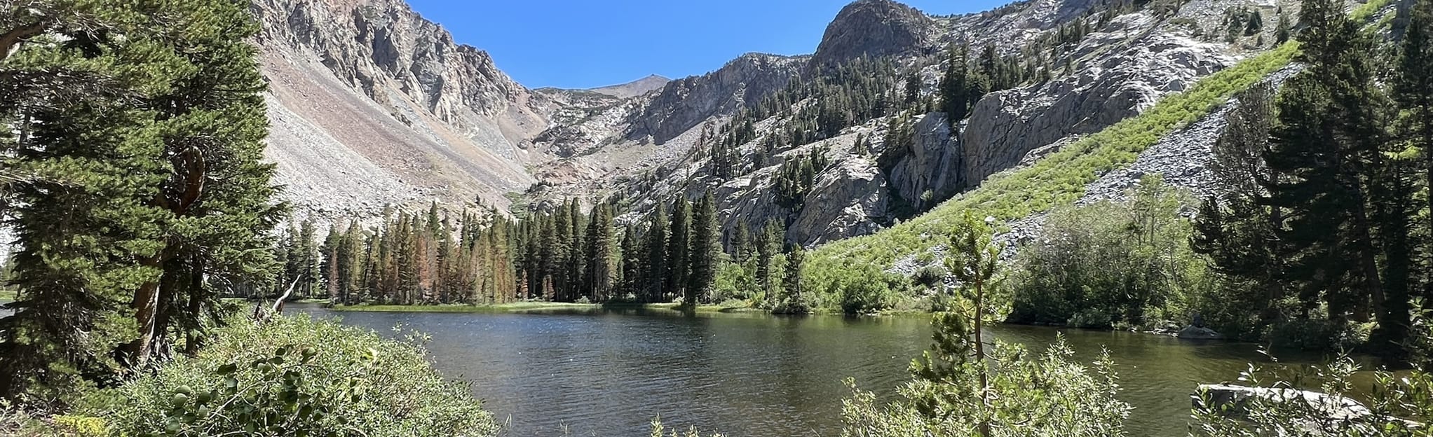 Fern Lake Trail, California - 725 Reviews, Map | AllTrails