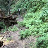 Baring Mountain Trail, Washington - 164 Reviews, Map | AllTrails